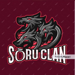 Virtual Trucking Company - SORU — TruckersMP