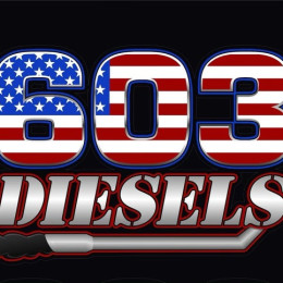 Virtual Trucking Company - 603 Diesels - Members List — TruckersMP