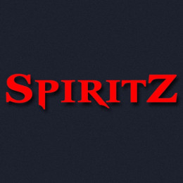 Virtual Trucking Company - Spiritz Inc — TruckersMP