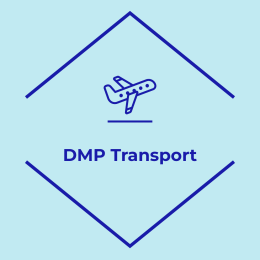 Virtual Trucking Company - DMP Transport — TruckersMP