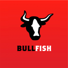 Virtual Trucking Company - BULLFISH — TruckersMP