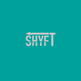 Virtual Trucking Company - Shyft — TruckersMP