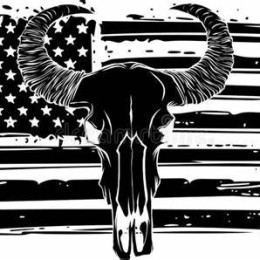 Virtual Trucking Company - Alpha Left Lane LLC — TruckersMP