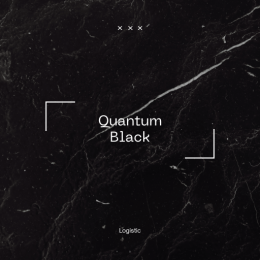 Virtual Trucking Company - Quantum Black Logistic — TruckersMP