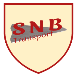 Virtual Trucking Company - SNB Transport — TruckersMP