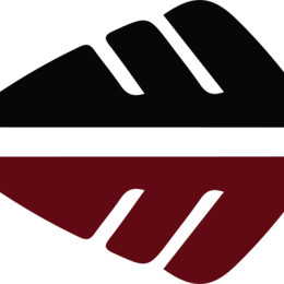 Virtual Trucking Company - Tribe Transport International — TruckersMP