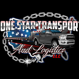 Virtual Trucking Company - Lone Star Transport & Logistics LLC — TruckersMP