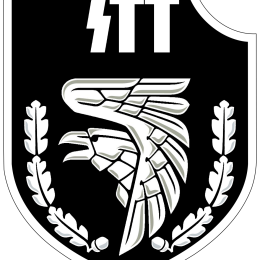 Virtual Trucking Company - STT Logistic — TruckersMP