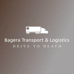 Virtual Trucking Company - Bagera Logistics & Transport — TruckersMP