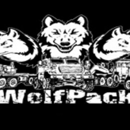Virtual Trucking Company - Wolfpack Transport — TruckersMP