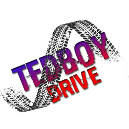 Virtual Trucking Company - Tedboy's Drivers — TruckersMP