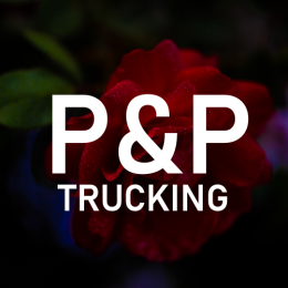 Virtual Trucking Company - P&P Trucking — TruckersMP