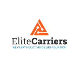 Virtual Trucking Company - Elite Carriers — TruckersMP