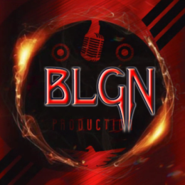 Virtual Trucking Company - Turkey BLGN — TruckersMP