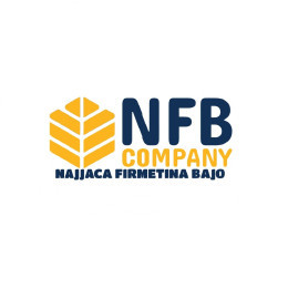 Virtual Trucking Company - NFB Company — TruckersMP