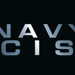 Virtual Trucking Company - Navy CIS — TruckersMP