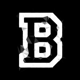 Virtual Trucking Company - Becker Company — TruckersMP