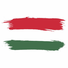 Virtual Trucking Company - Hungary KFT. — TruckersMP