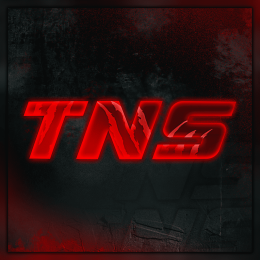 Virtual Trucking Company - TNS Express — TruckersMP