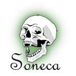 Virtual Trucking Company - Soneca Deliveries — TruckersMP