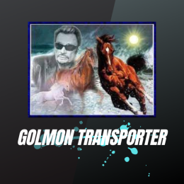 Virtual Trucking Company - Golmon Transporter — TruckersMP