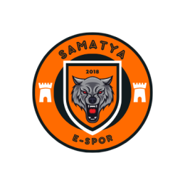 Virtual Trucking Company - Samatya Lojistik A.Ş. — TruckersMP