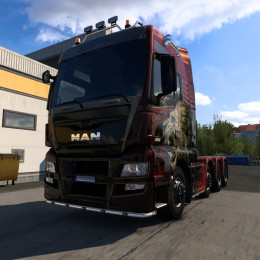 Virtual Trucking Company - Variant-Transport-GmbH — TruckersMP