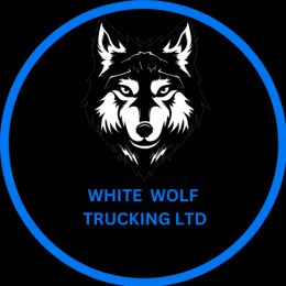 Virtual Trucking Company - White Wolf LTD — TruckersMP