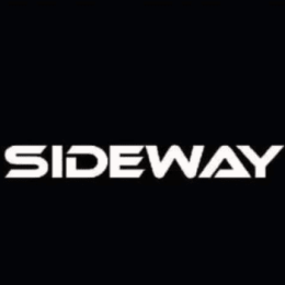 Virtual Trucking Company - SideWay S.R.O — TruckersMP
