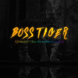 Virtual Trucking Company - Boss Tiger — TruckersMP