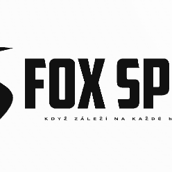 Virtual Trucking Company - Fox Sped Karlovy Vary — TruckersMP