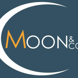 Virtual Trucking Company - Moon & Co Logistics — TruckersMP