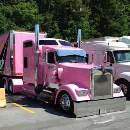 Virtual Trucking Company - Pink Trucks — TruckersMP