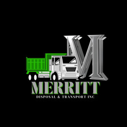 Virtual Trucking Company - Merritt Transport Systems INC. — TruckersMP