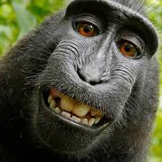 Virtual Trucking Company - MAJMUN Transport — TruckersMP