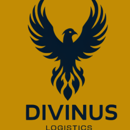 Virtual Trucking Company - Divinus Logistics — TruckersMP