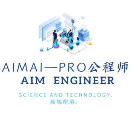 Virtual Trucking Company - AimAi-Pro 物流有限公司 — TruckersMP