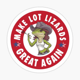 Virtual Trucking Company - Lot Lizard Logistics — TruckersMP
