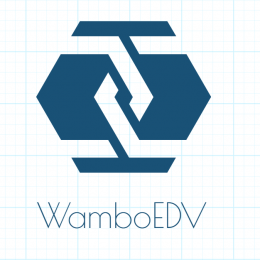 Virtual Trucking Company - Wambo EDV — TruckersMP