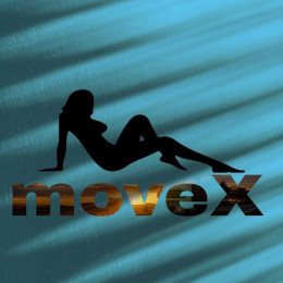 Virtual Trucking Company - moveX — TruckersMP