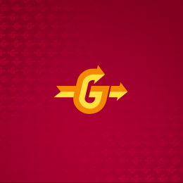Virtual Trucking Company - Galliker Transport & Logistics — TruckersMP