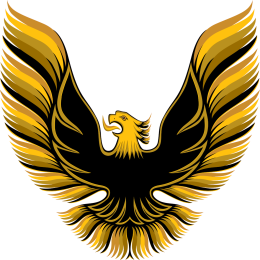 Virtual Trucking Company - Gold Trans — TruckersMP