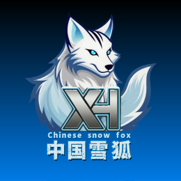 Virtual Trucking Company - Chinese Snow Fox Team 中国雪狐车队 — TruckersMP