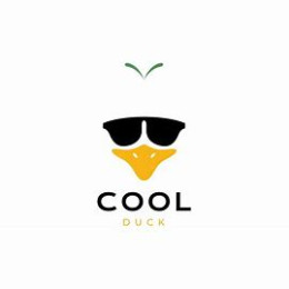 Virtual Trucking Company - Chilly Duck Logistics — TruckersMP