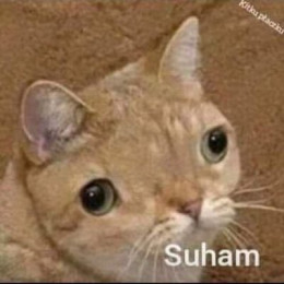 Virtual Trucking Company - Suham Logistic — TruckersMP